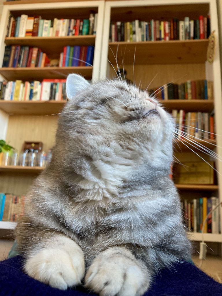 About – Dr Jessica Field